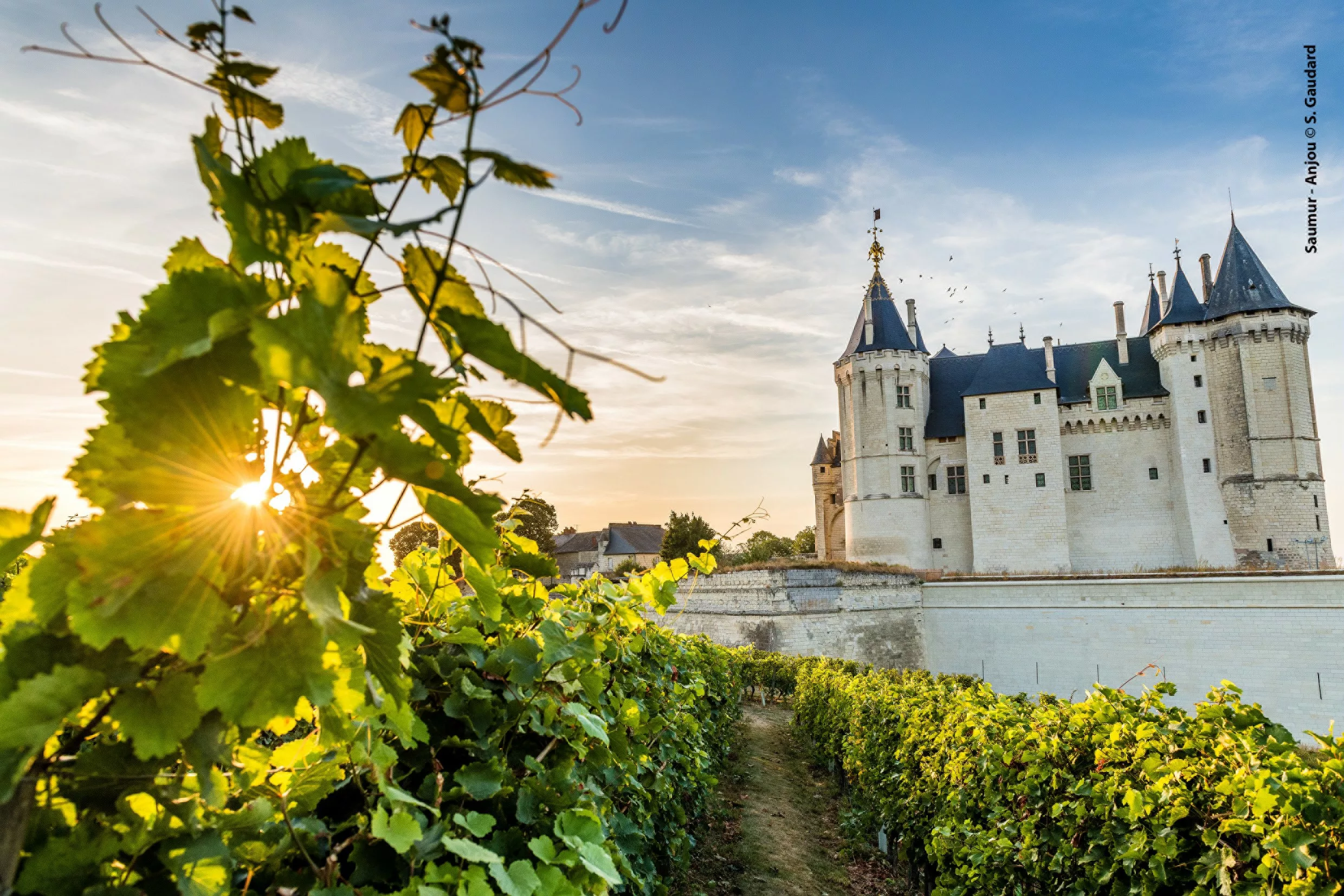 Castles and wine tour in the Loire Valley | Loire Secrets Travel